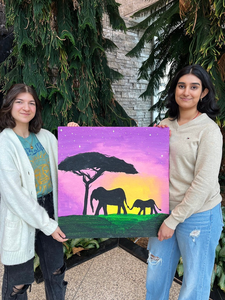 Nants' Ingonyama – St. Joe’s Hamilton